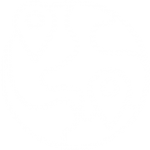 Requirements – FDX logistics network