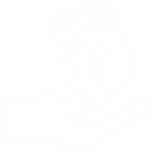 Requirements – FDX logistics network